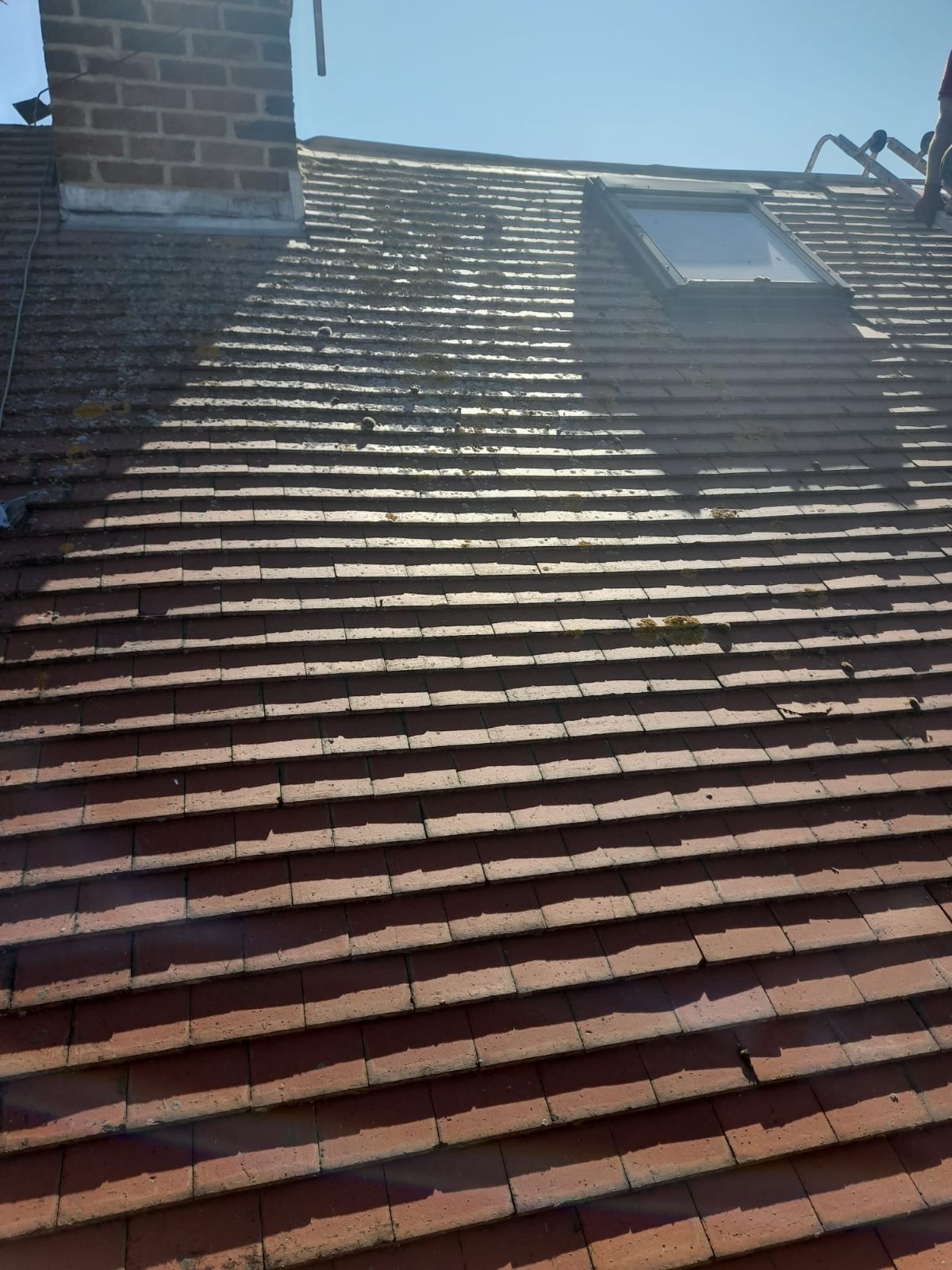 Roof Replacement – Busta Grimes
